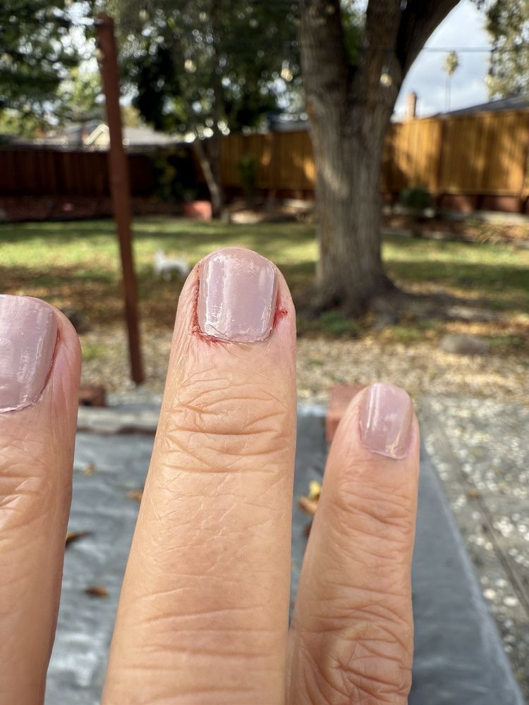 BOLLINGER NAILS - Updated January 2026 - 59 Photos & 149 Reviews - 2441 ...