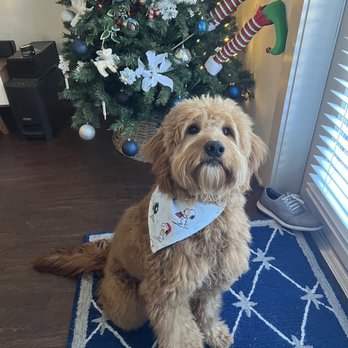 SNICKERSDOODLES - Updated October 2025 - 69 Photos & 37 Reviews - Weir ...