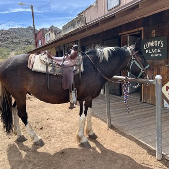 PONDEROSA STABLES - Updated September 2024 - 232 Photos & 190 Reviews ...