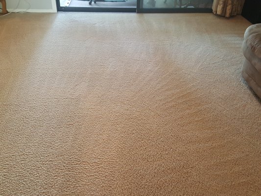 WORLD CLASS CARPET CLEANING - Updated July 2025 - 196 Photos & 475 ...