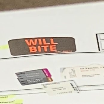 CHENEY ANIMAL CLINIC - Updated December 2025 - 29 Reviews - 455 Cheney ...