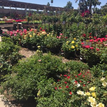 TREELAND NURSERIES - Updated October 2025 - 65 Photos & 77 Reviews ...