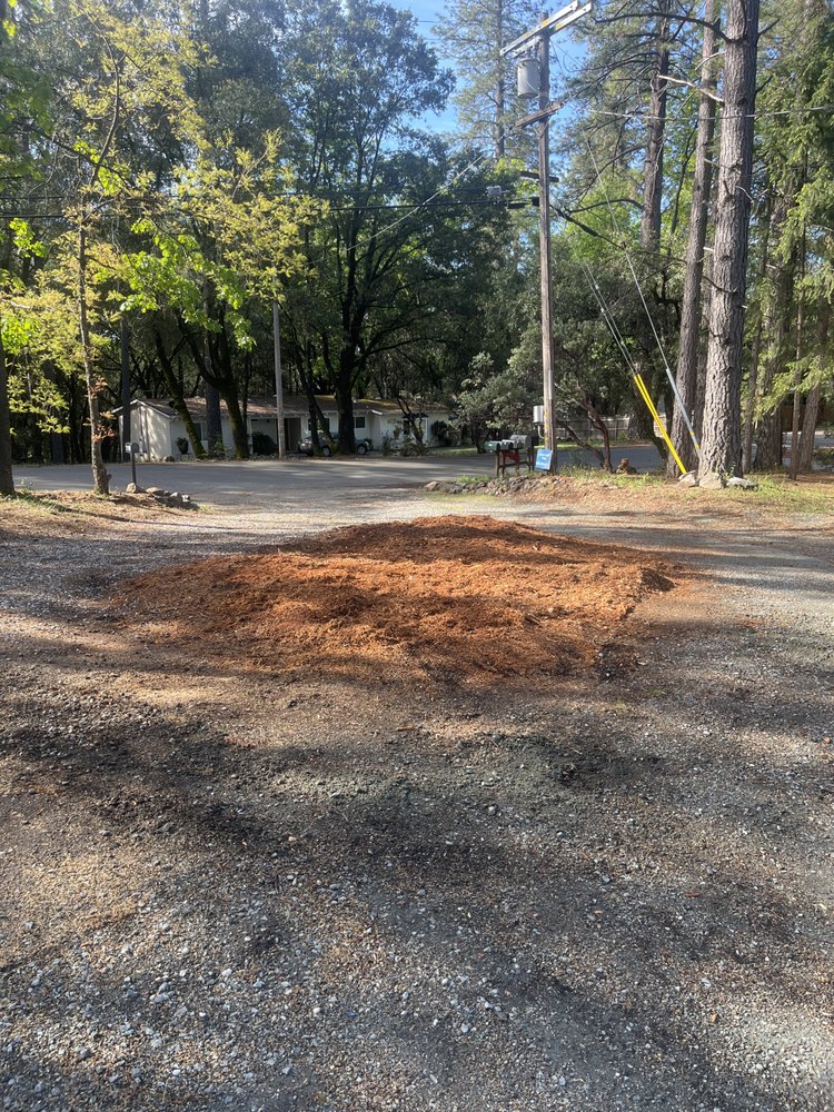 STUMP WIZARD - Updated June 2025 - Colfax, California - Tree Services ...