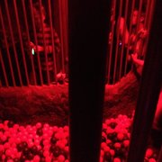 WIZARD QUEST - 66 Photos & 125 Reviews - 400 Broadway, Wisconsin Dells ...