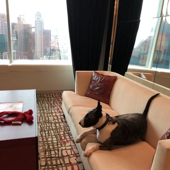 SKYLOFTS AT MGM GRAND - Updated October 2025 - 365 Photos & 124 Reviews - 3799 S Las Vegas Blvd ...