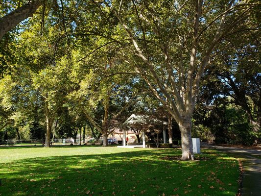 DANVILLE LIBRARY - Updated August 2025 - 57 Photos & 49 Reviews - 400 ...