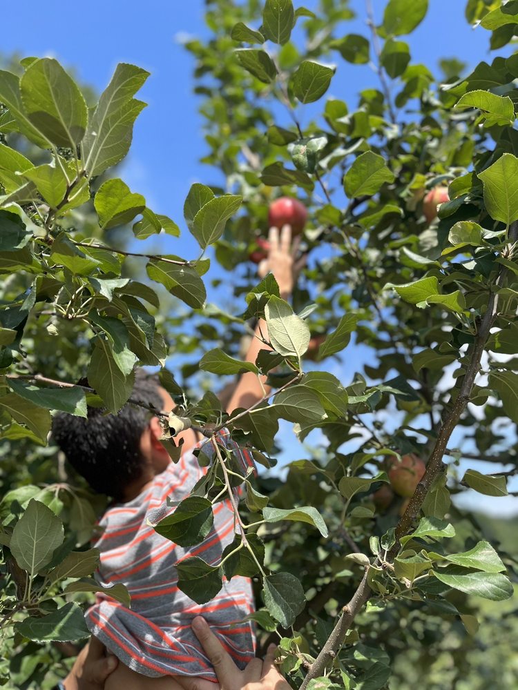 JETER MOUNTAIN FARM - 43 Photos & 18 Reviews - 1126 Jeter Mountain Rd ...