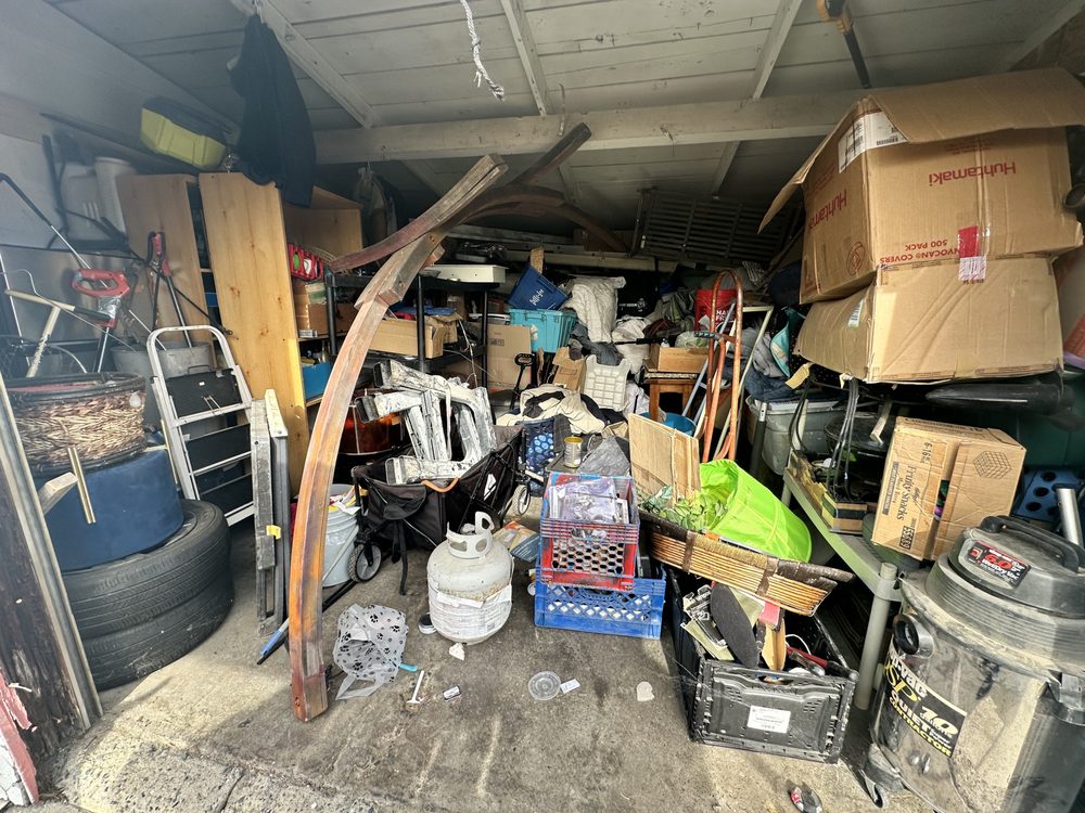 RAYS REMOVAL - Updated September 2025 - Request a Quote - 10 Photos - North Highlands ...