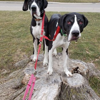 DELAWARE PARK - Updated November 2025 - 153 Photos & 69 Reviews - 84 ...