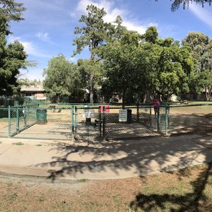NEWHALL COMMUNITY PARK - 205 Photos & 89 Reviews - Dog Parks - Turtle ...