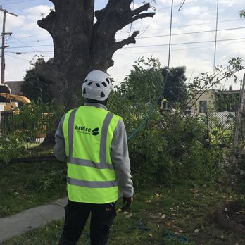 ANDRE LANDSCAPE SERVICE - Updated January 2026 - 26 Photos & 41 Reviews ...