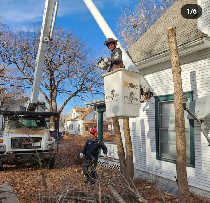 ONE LIFE TREE SERVICE - Updated October 2025 - 36 Photos - Lincoln ...