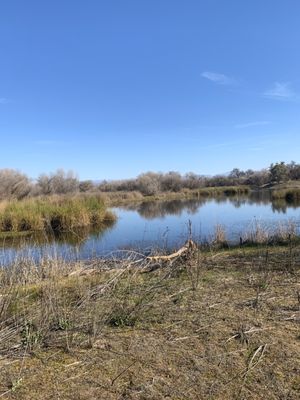 SAN JOAQUIN RIVER PARKWAY & CONSERVATION TRUST - 74 Photos - 11605 Old ...