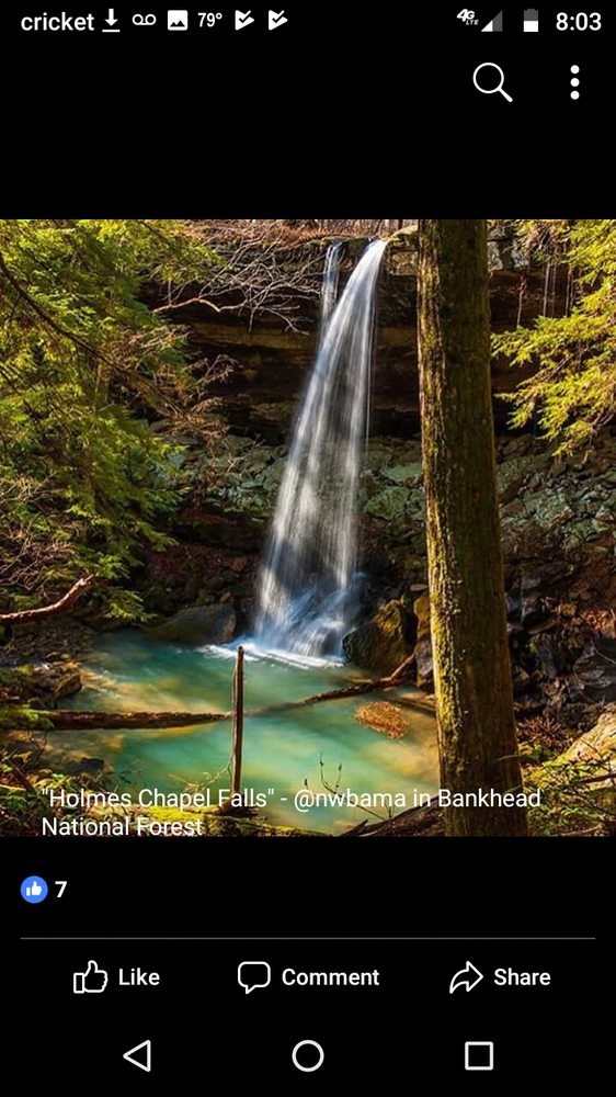 BANKHEAD NATIONAL FOREST - Updated October 2025 - 45 Photos - 1070 AL ...