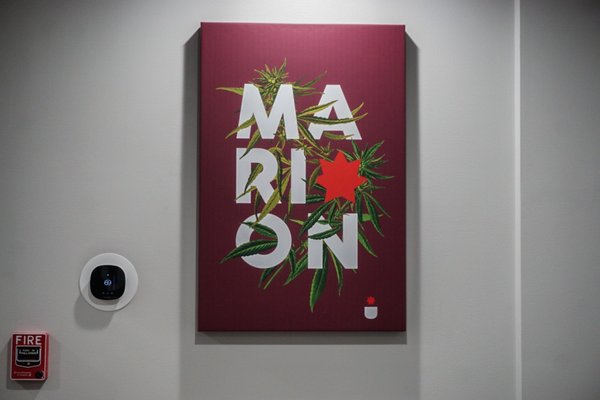 CONSUME CANNABIS - MARION - Updated May 2026 - 20 Photos & 15 Reviews ...