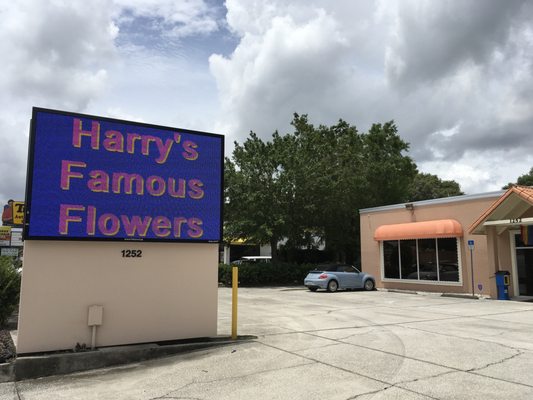 HARRY’S FAMOUS FLOWERS - Updated June 2026 - 143 Photos & 72 Reviews ...