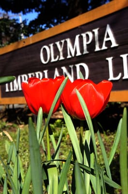 OLYMPIA TIMBERLAND LIBRARY - Updated December 2025 - 33 Photos & 24 ...