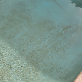 TIGER SHARK POOL SERVICE - Updated June 2025 - 25 Photos & 26 Reviews ...