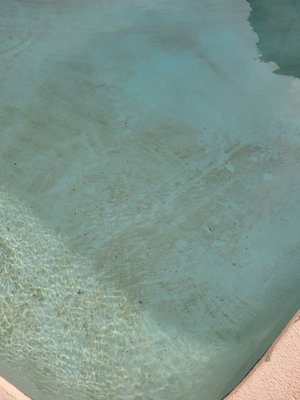 TIGER SHARK POOL SERVICE - Updated June 2025 - 25 Photos & 26 Reviews ...