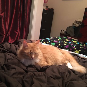 MARIN HUMANE - Updated January 2026 - 104 Photos & 133 Reviews - 171 ...