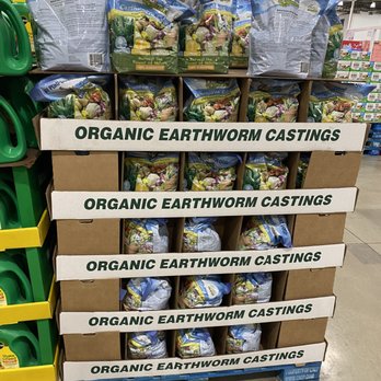 COSTCO - Updated August 2025 - 98 Photos & 93 Reviews - 2500 S Harlem ...