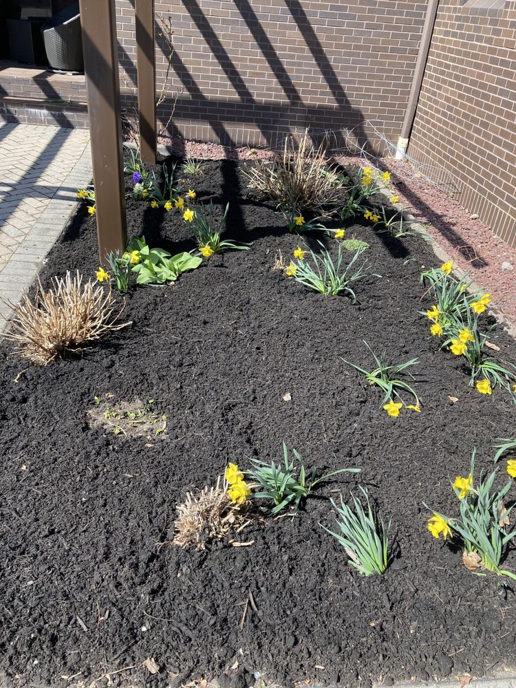 ITHACA LAWN AND LANDSCAPING - Updated June 2024 - Request a Quote - 26 ...