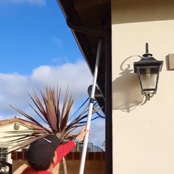 MISSION PEST CONTROL - Updated July 2024 - 51 Reviews - 9863 Pacific ...