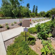 YORBA LINDA PUBLIC LIBRARY - 113 Photos & 30 Reviews - 4852 Lakeview ...