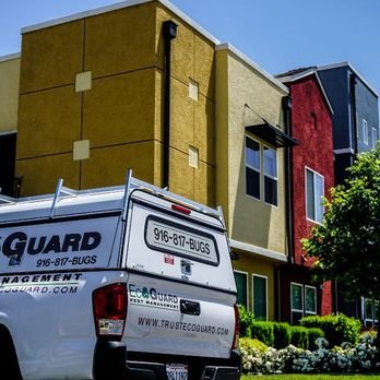ECOGUARD PEST MANAGEMENT - Updated November 2024 - 34 Photos & 108 ...