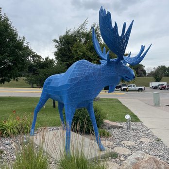 THE BLUE MOOSE BAR & GRILL - Updated May 2024 - 228 Photos & 257 ...