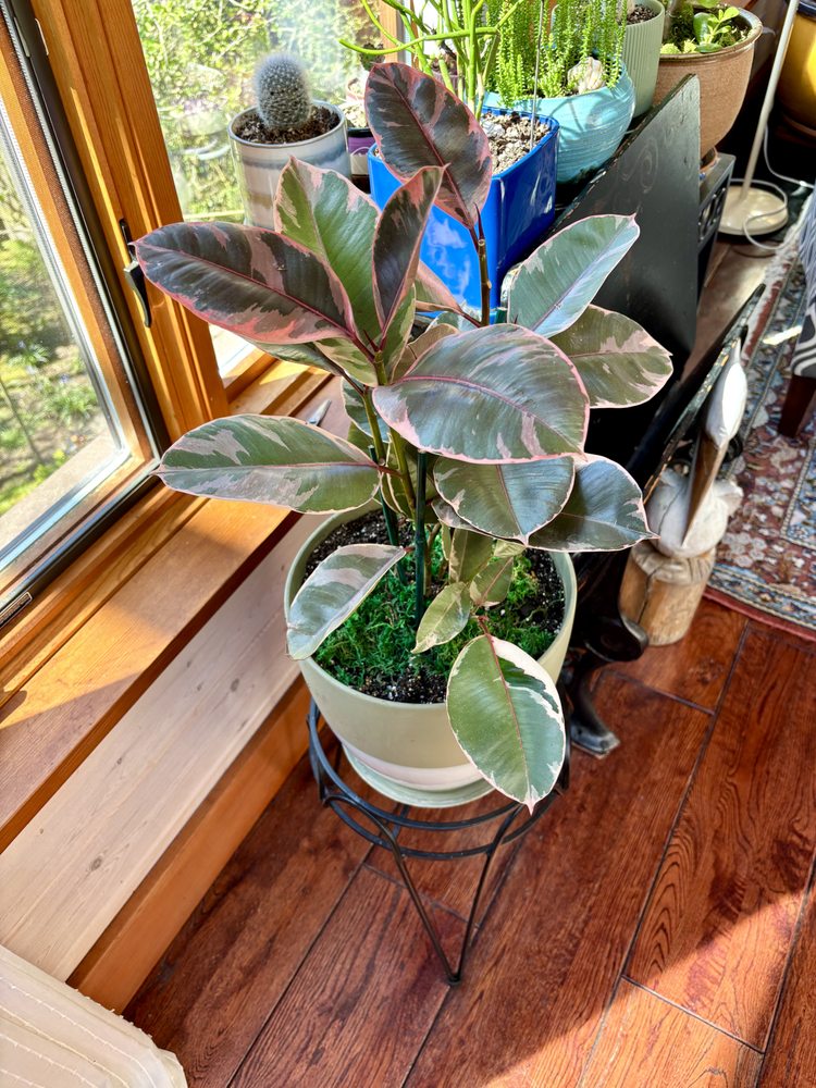 LÉON & GEORGE - Updated December 2025 - 17 Photos & 28 Reviews - Los ...