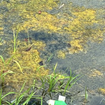 MAGIC MOUNTAIN FUN CENTER - EAST - Updated December 2025 - 70 Photos ...