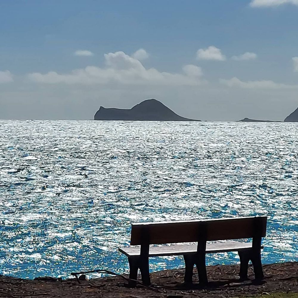 JN SHUTTLE SERVICE - Urban Honolulu, Hawaii - Public Transportation ...