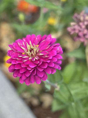 SACRAMENTO PUBLIC LIBRARY - NORTH NATOMAS - Updated August 2025 - 64 ...