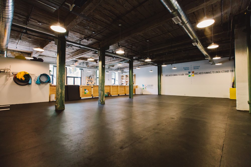 OPPORTUNITY BARKS BEHAVIOR & TRAINING - Updated July 2025 - 88 Photos & 52 Reviews - 3510 Scotts ...