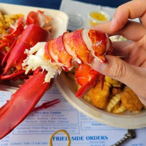 AL’S SEAFOOD - Updated June 2024 - 177 Photos & 274 Reviews - 51 ...