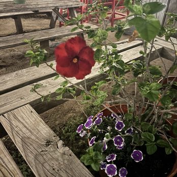 THE BOILING POT - Updated October 2025 - 268 Photos & 394 Reviews - 201 ...