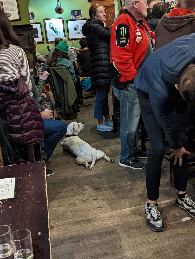 SANDY BELL’S - Updated May 2025 - 40 Photos & 47 Reviews - 25 Forrest ...