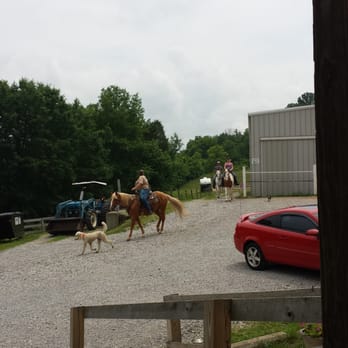 MISTY RIDGE FARM - Updated October 2025 - 43 Photos - 5210 Owl Creek Rd ...