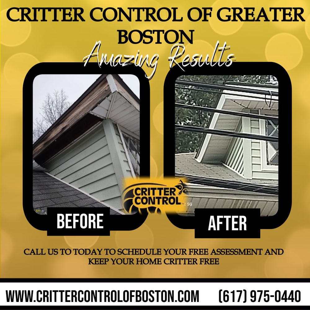 CRITTER CONTROL OF GREATER BOSTON - 54 Photos & 63 Reviews - Watertown ...