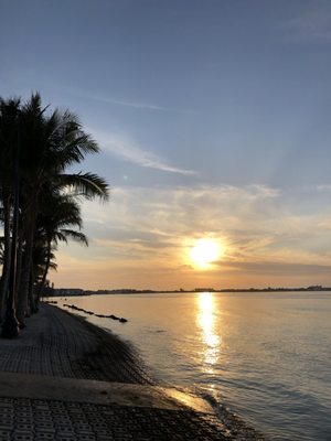 BIRD KEY PARK - 65 Photos & 11 Reviews - 101 Bird Key Dr, Sarasota, FL ...