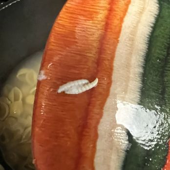 VONS - Updated December 2025 - 109 Photos & 248 Reviews - 481 Old ...