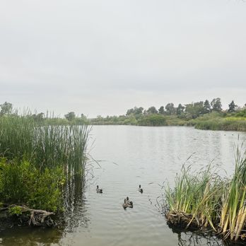 GUAJOME REGIONAL PARK - Updated November 2024 - 370 Photos & 141 ...