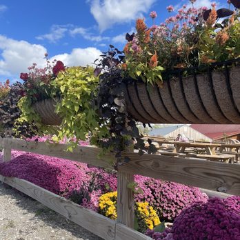 VALA’S PUMPKIN PATCH - Updated September 2025 - 381 Photos & 179 ...