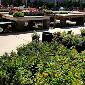 TREELAND NURSERIES - Updated October 2025 - 65 Photos & 79 Reviews ...