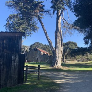 GARLAND RANCH REGIONAL PARK - 319 Photos & 97 Reviews - Hiking - 700 W ...