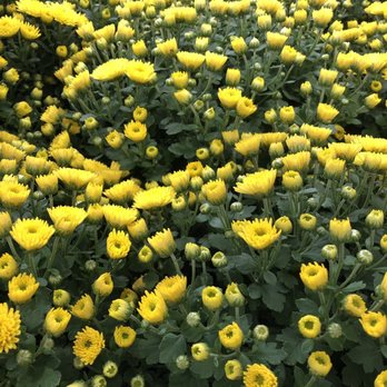 MENARDS - Updated October 2025 - 10 Reviews - 3300 State St, Bismarck ...