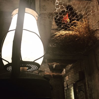 THE BEEF BARN - 175 Photos & 257 Reviews - American (Traditional) - 200 ...