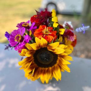 TOPGOLF - Updated August 2025 - 477 Photos & 239 Reviews - 20101 ...