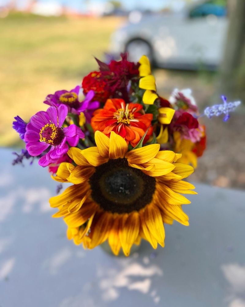 BUTLER’S ORCHARD - Updated October 2025 - 832 Photos & 426 Reviews ...